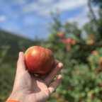 anonymoustoptx (Anon Top) free OnlyFans Leaked Content - BestOFLeaks